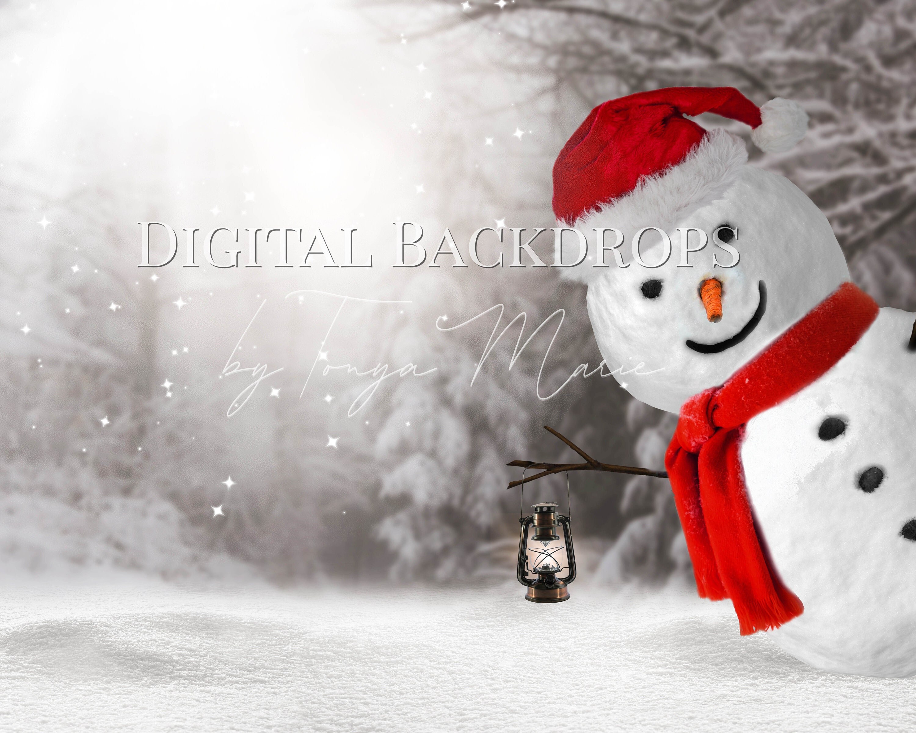 Digital Background Christmas Backdrop for Photography Holiday Snowman ...