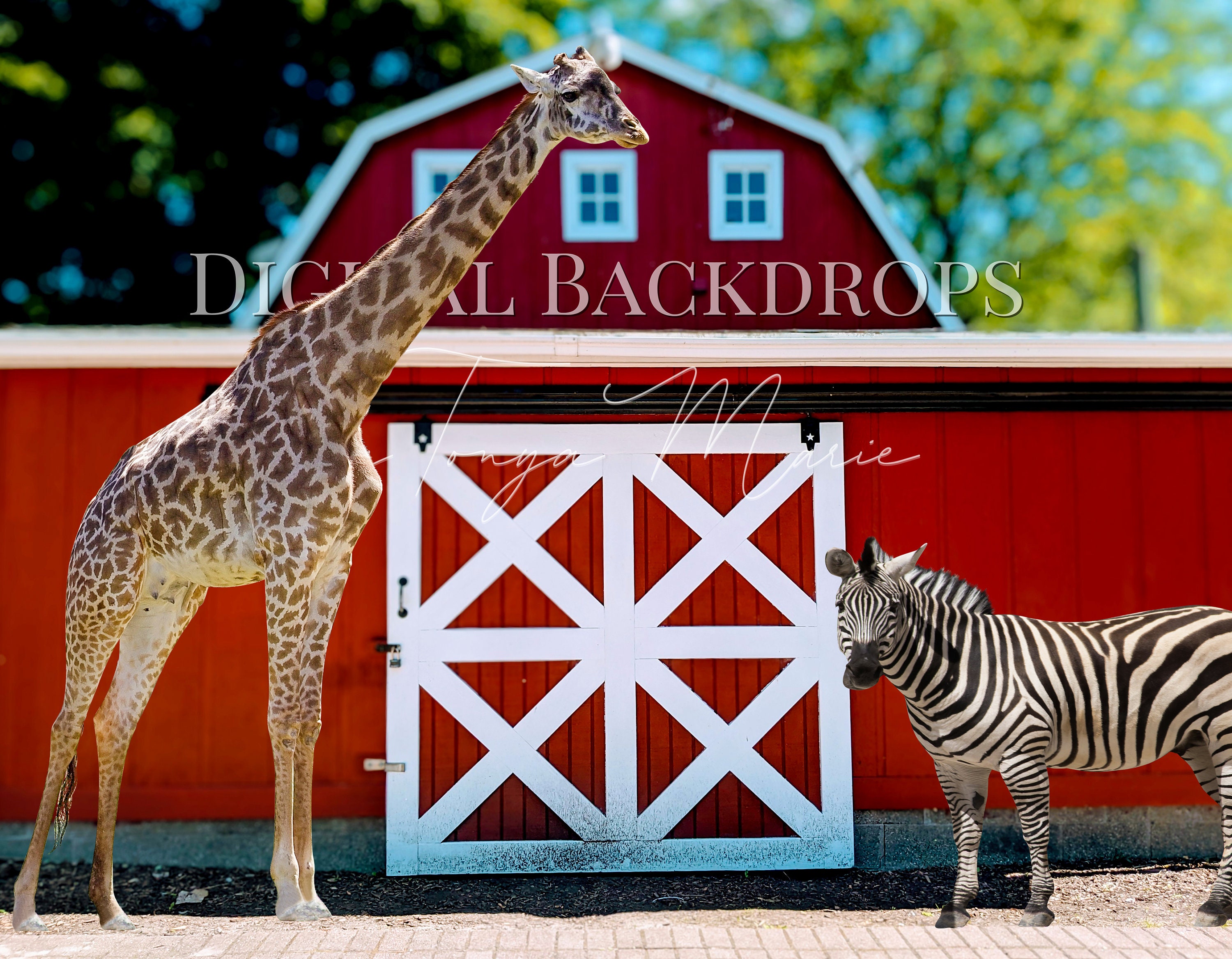Red Barn Zoo Theme Digital Backdrop With Giraffe & Zebra. Can Be Used ...
