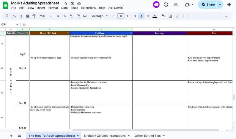 Molly's Adulting Spreadsheet - Etsy