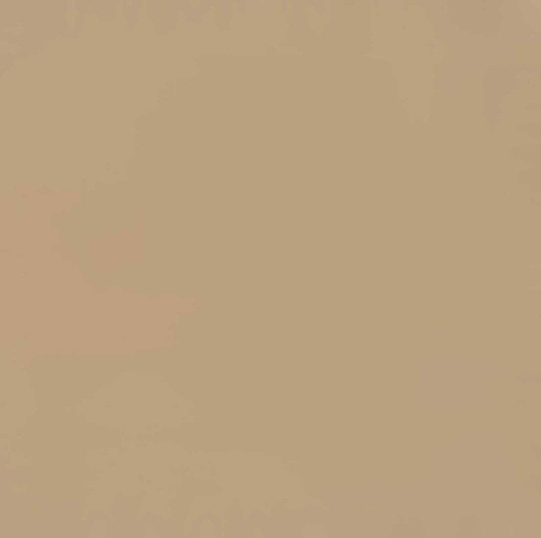 Solids Fabric TAN - Blenders by Oasis Fabrics - Solid Color TAN - 100% ...