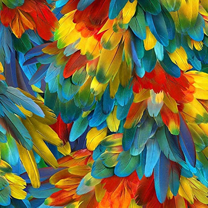 Parrot Feathers Fabric by Hoffman Fabrics Digital Spectrum | Etsy