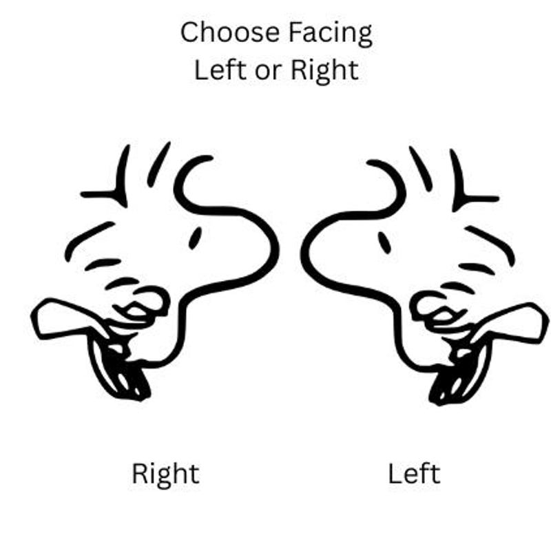 Peanuts Decals for Car - Etsy