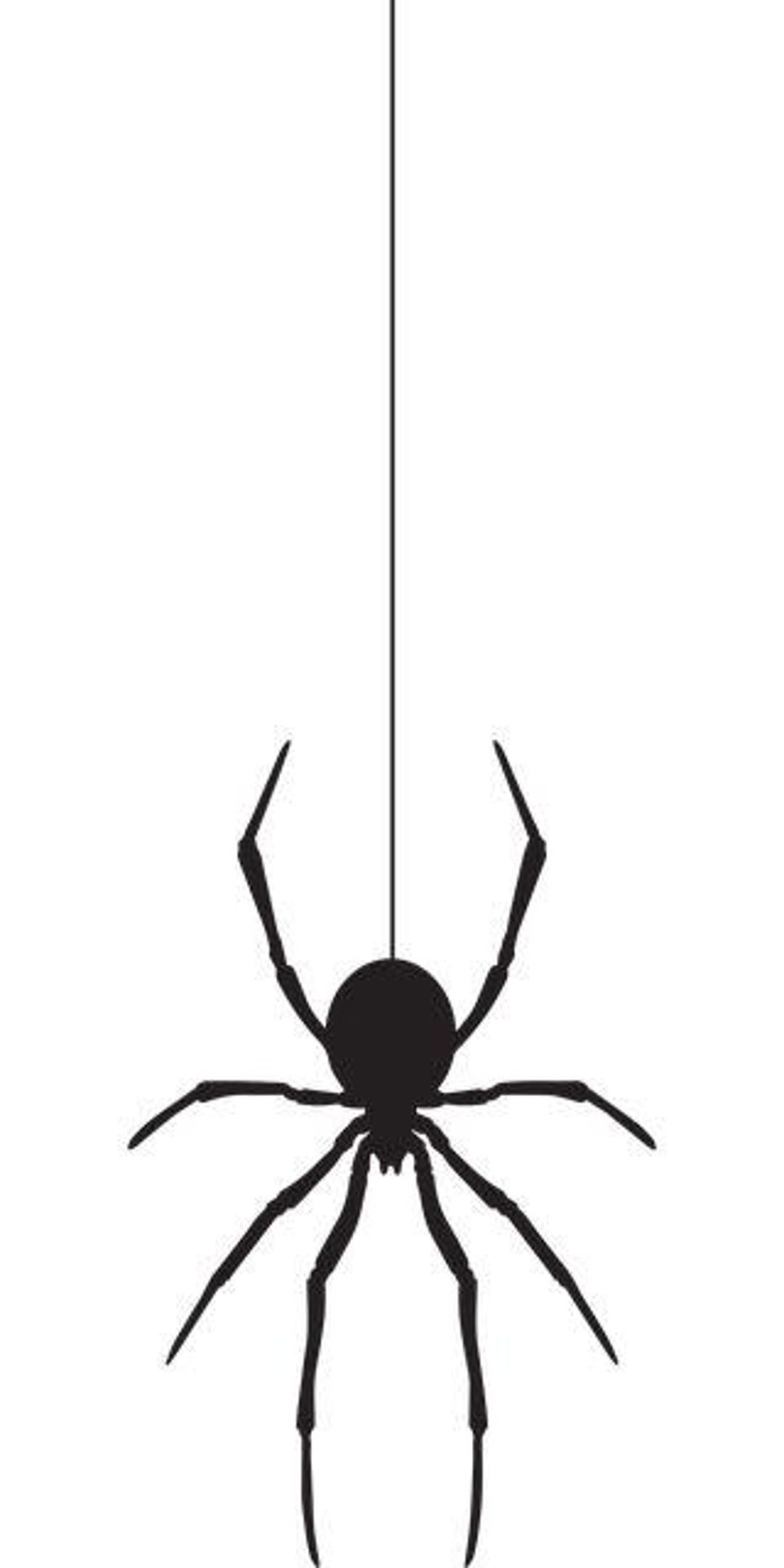 Spider Hanging Vinyl Decal Sticker Halloween, Window, Mirror, Prop ...