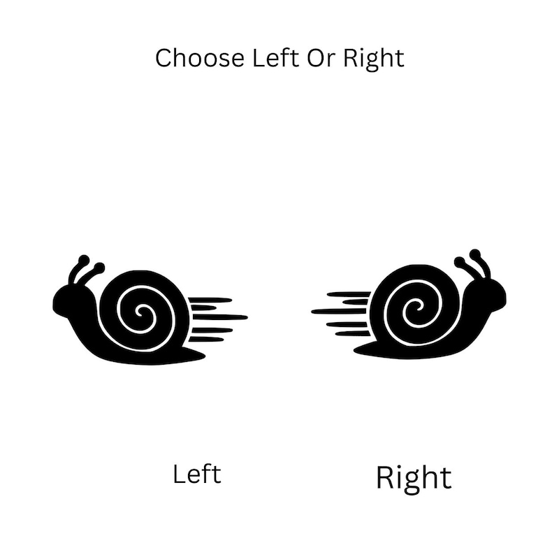 Snail Vinyl Decals - Etsy