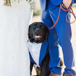 Navy Blue Wedding Dog Tuxedo (custom Colors Available) - Etsy