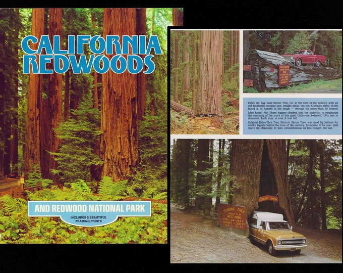 Vintage CALIFORNIA REDWOODS Redwood National Park Vacationland BOOK ...