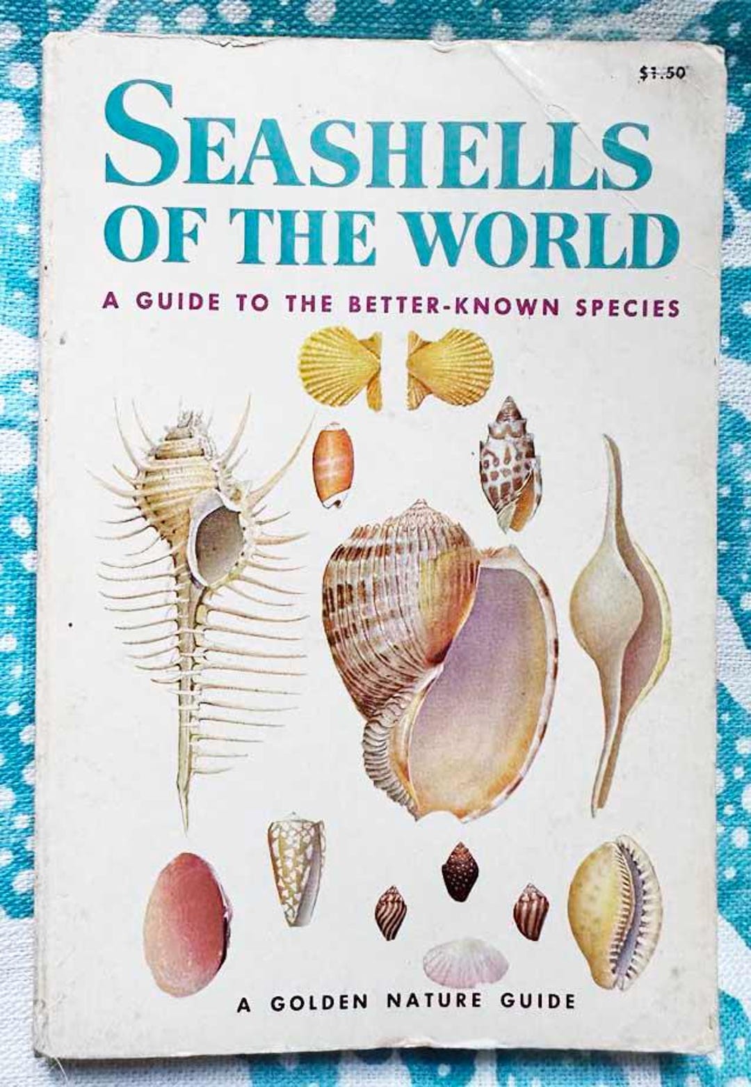 SEASHELLS of the WORLD Small GUIDE From 1962 4" X 6" Full of Color ...