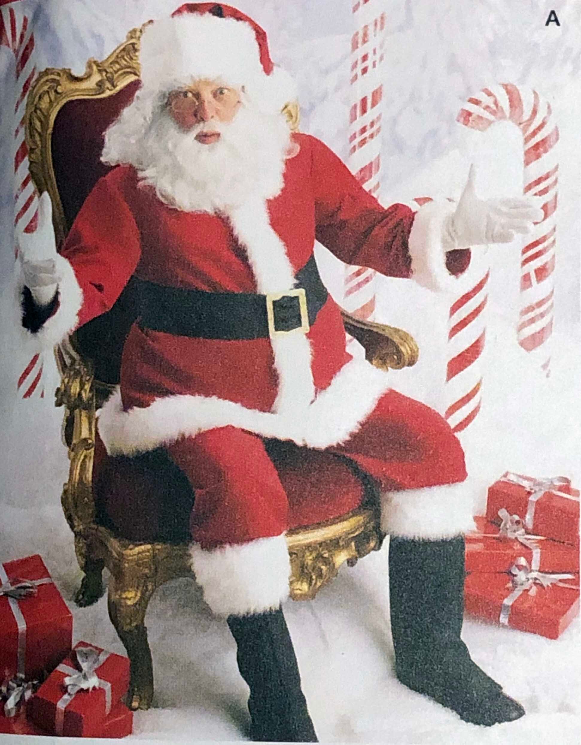 SIMPLICITY SANTA CLAUS Father Christmas Elf Mrs Claus Size B B Large ...
