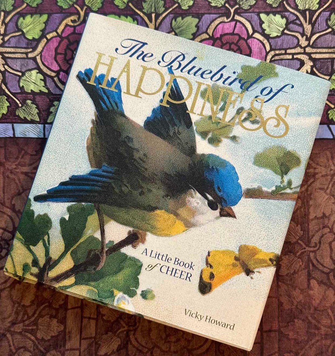 BLUEBIRD of HAPPINESS Hardbount Little Book of CHEER Vicky Howard With ...