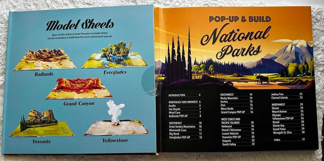 NATIONAL PARKS BUILD Pop up Scenes A Unique Adventure Through America's ...