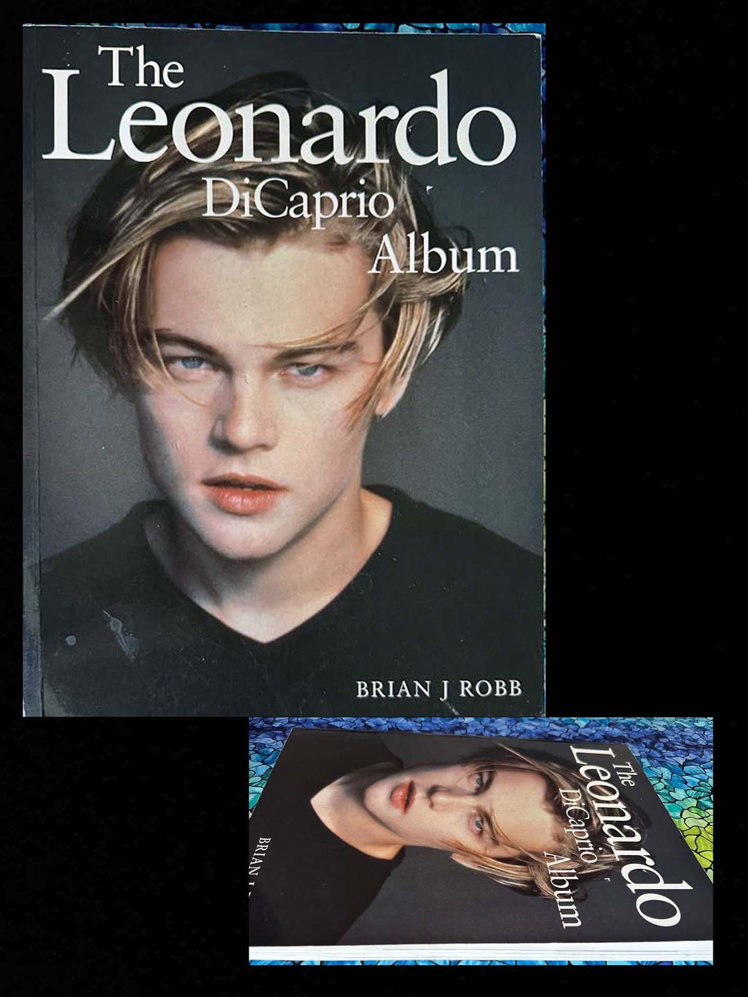 The LEONARDO Dicaprio ALBUM Packed Full of Full Color Photographs ...