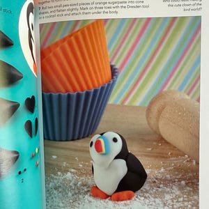 20 CAKE SUGAR BIRDS Book by Frances Mcnaughton - Search Press - Peacock ...