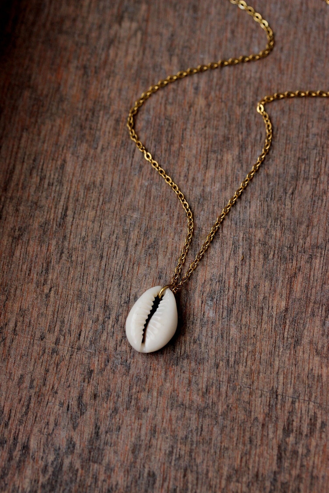 Cowry Shell Necklace Stainless Steel Chain Necklace Single - Etsy