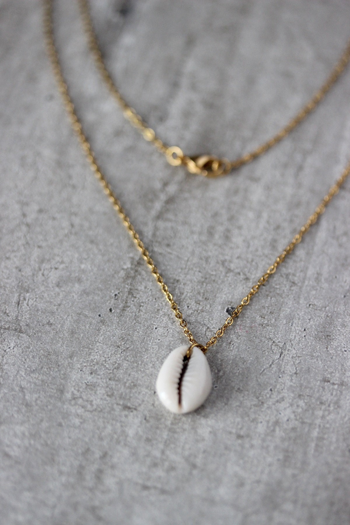 Cowry Shell Necklace Stainless Steel Chain Necklace Single | Etsy