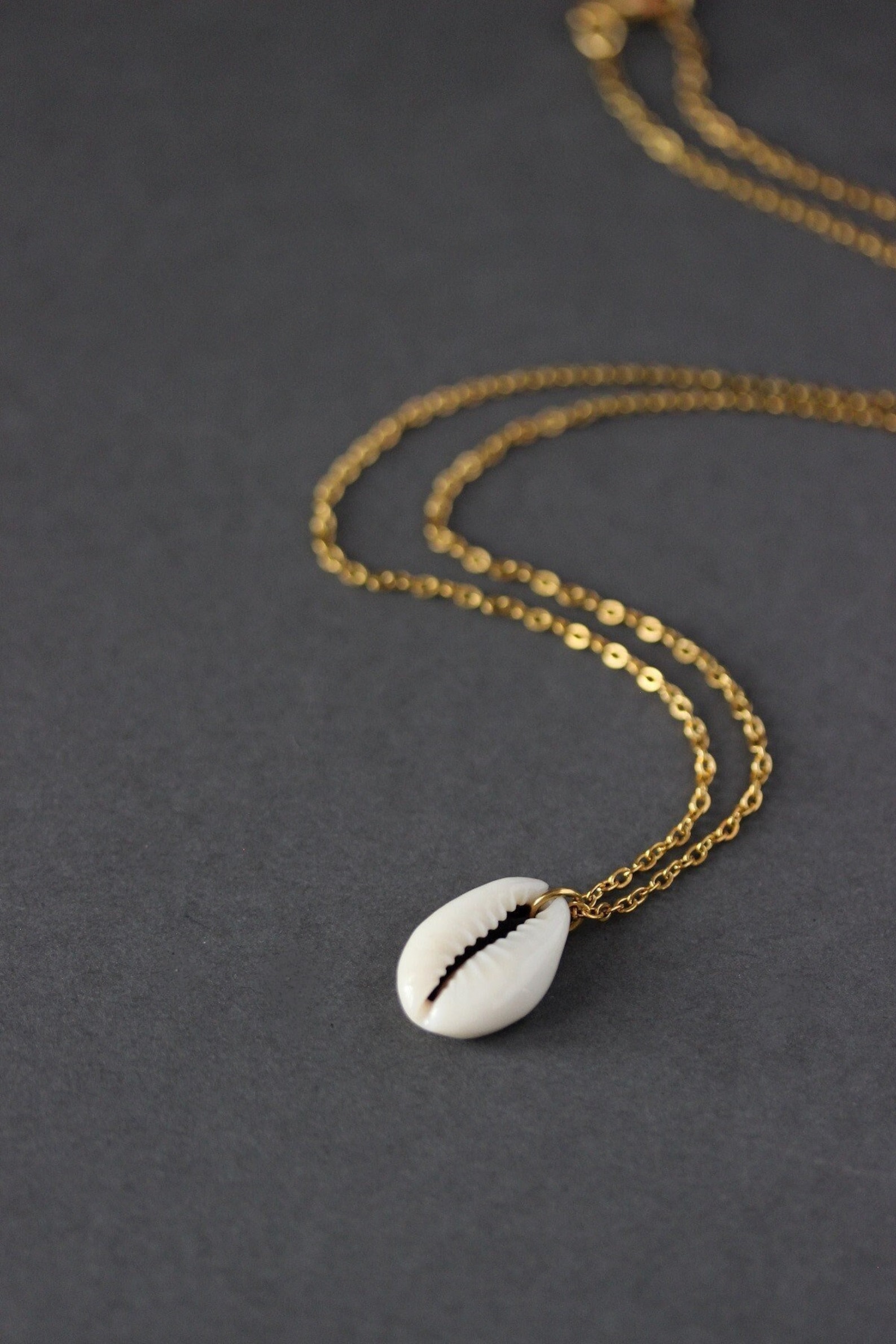 Cowry Shell Necklace Stainless Steel Chain Necklace Single - Etsy