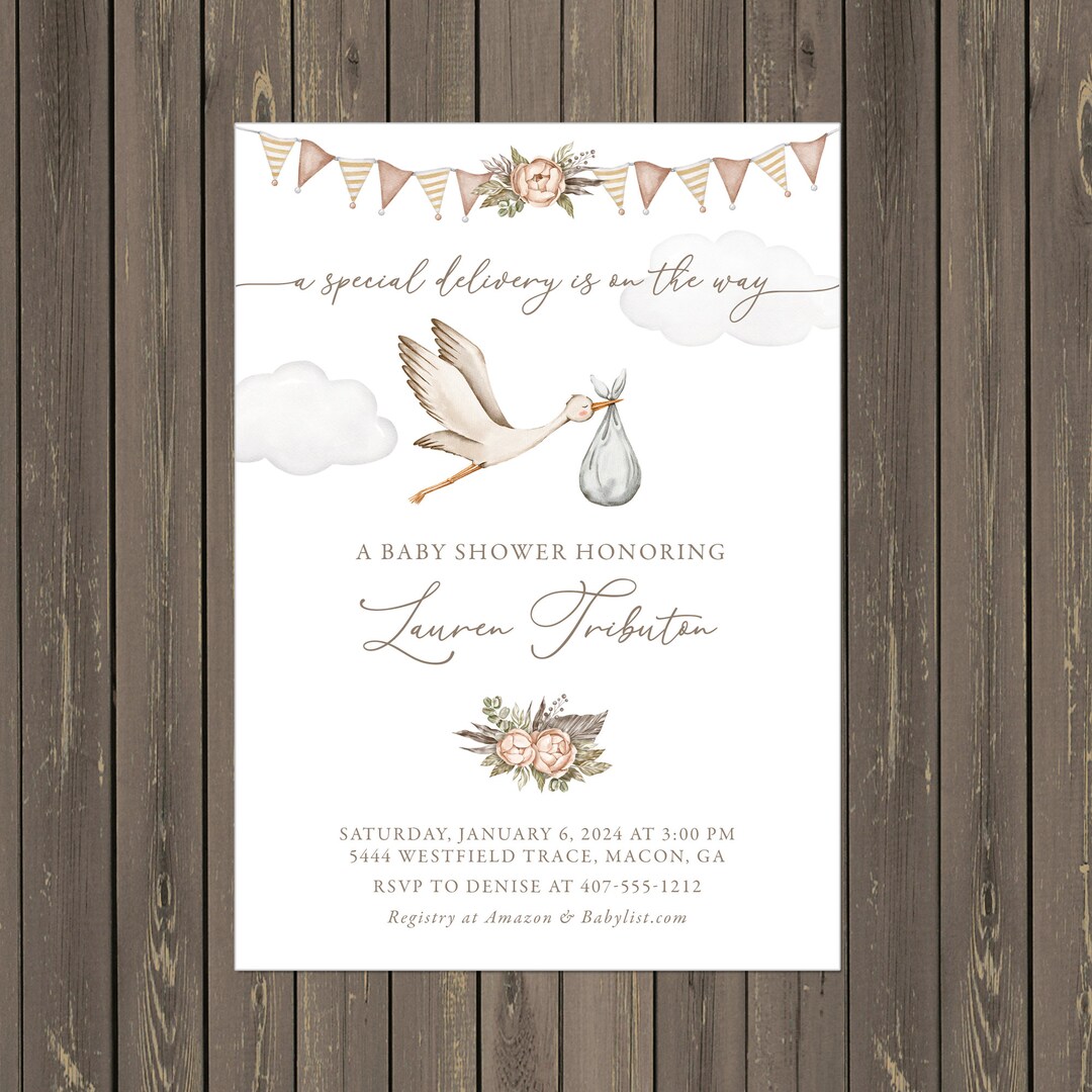 Stork Baby Shower Invitation, Special Delivery on the Way Shower, Boho ...