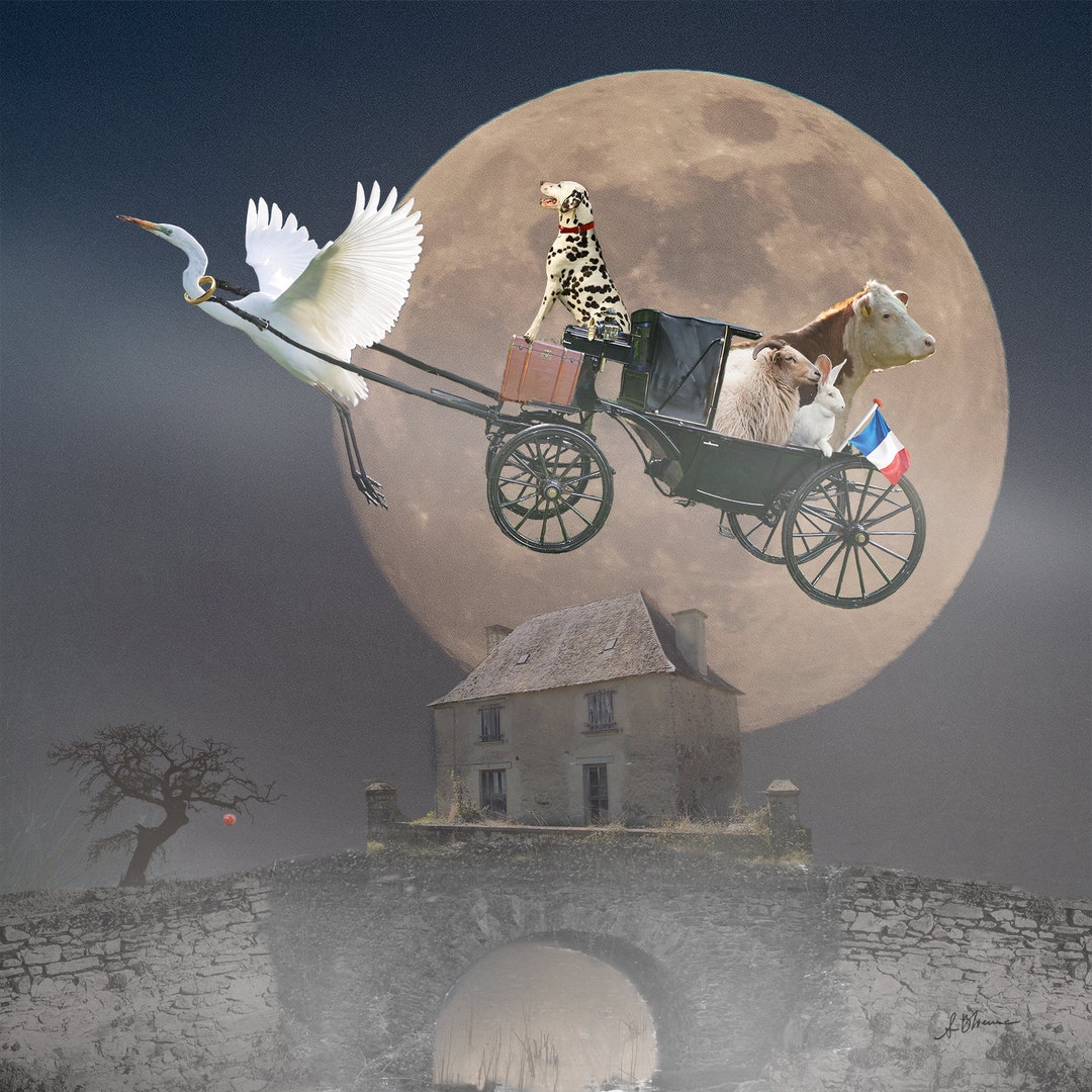 POSTCARD 15x15cm the Fench Connection - Etsy UK