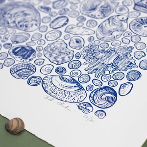 Linocut Print - Shell Collection - Etsy