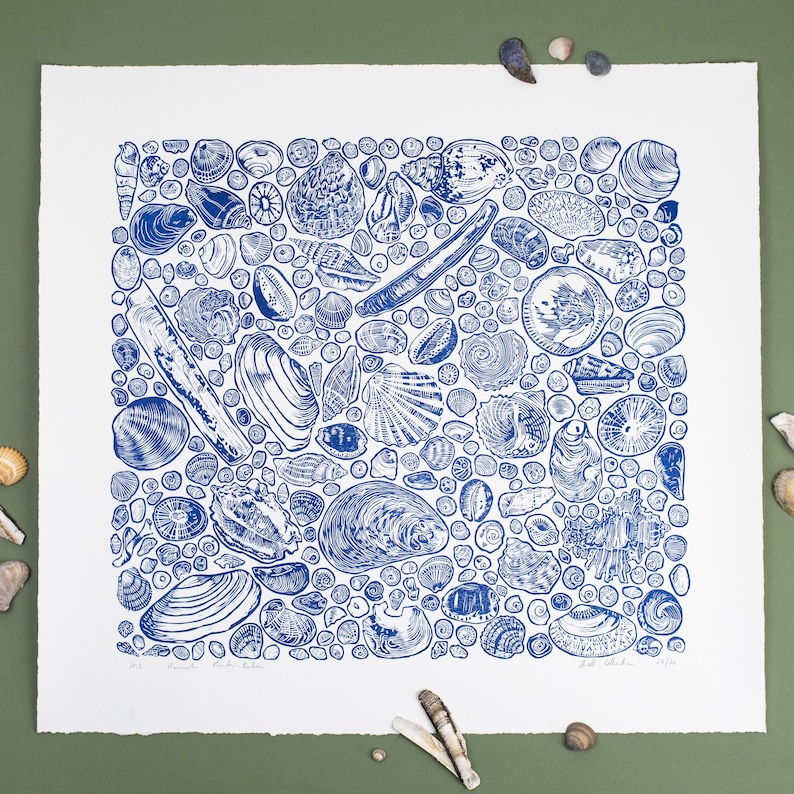Linocut Print Shell Collection - Etsy