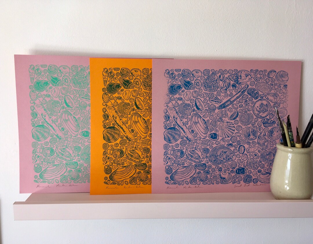 Shell Screen Prints - Assorted Colours - Seconds Prints - Etsy