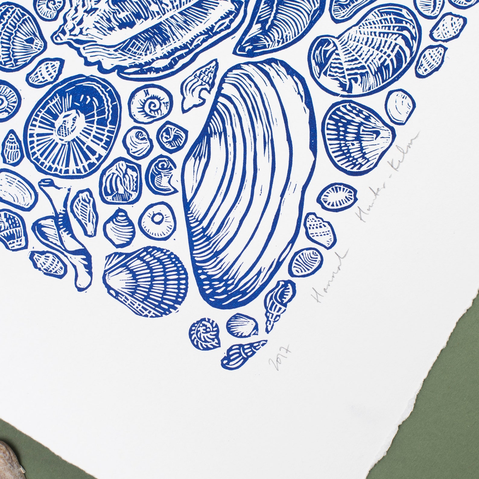 Linocut Print Shell Collection - Etsy