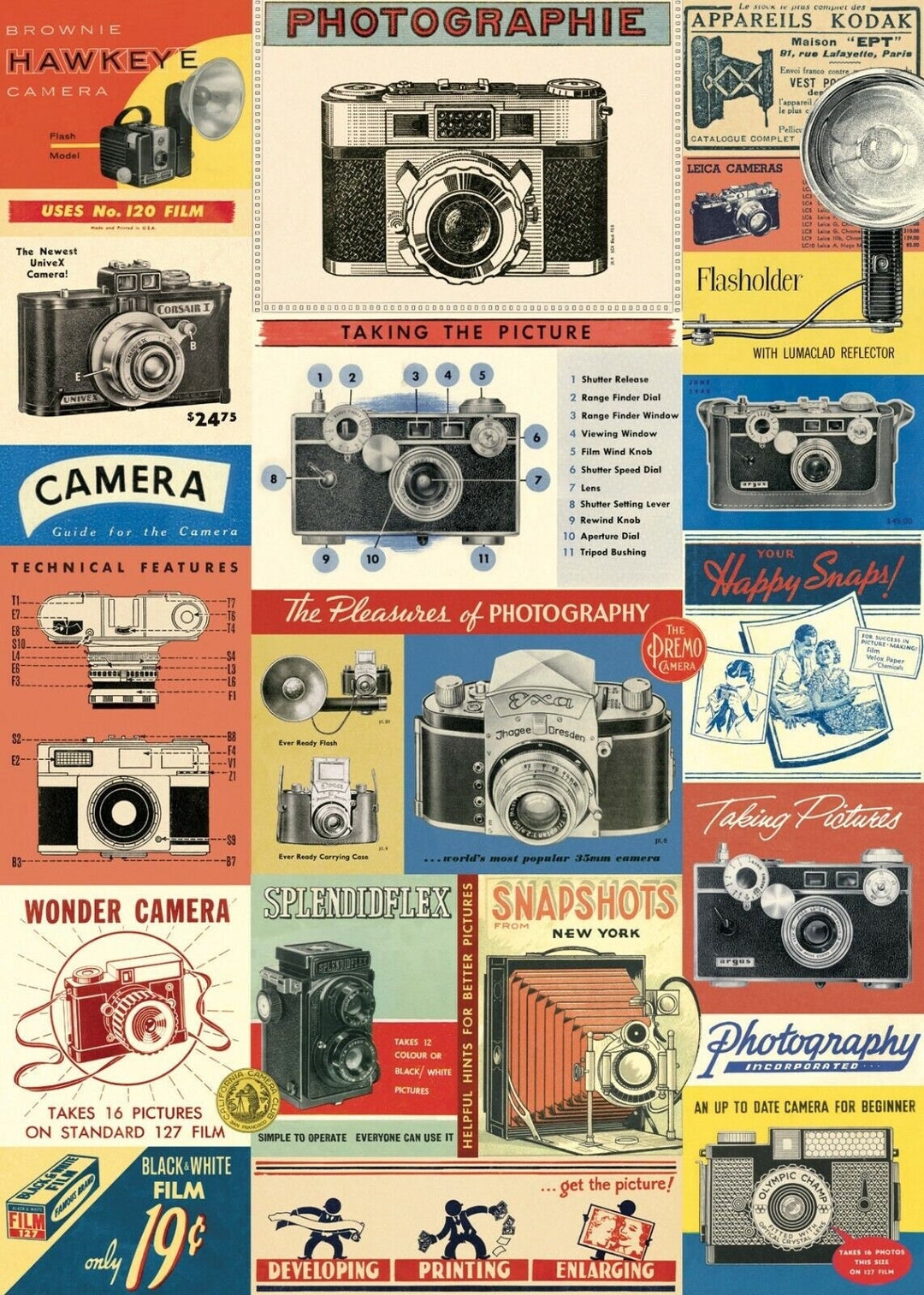 Cavallini & Co. Vintage Cameras Poster, Archival Paper, Matte - Etsy