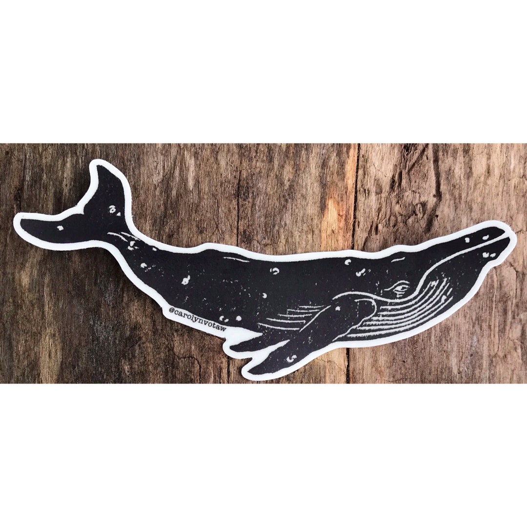 Humpback Whale Sticker Washington State Pacific Northwest WA Coast ...