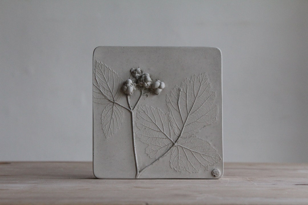 Blackberry in Concrete - Etsy