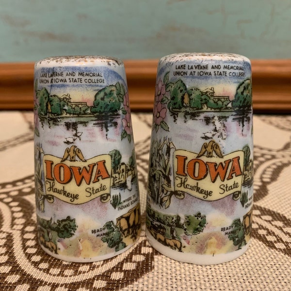 State Salt Pepper - Etsy