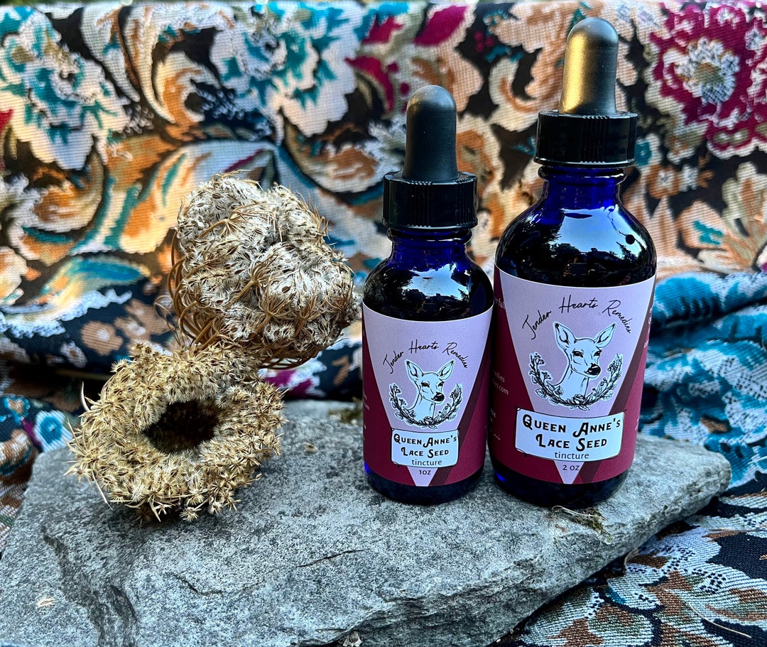 Organic Queen Anne’s Lace Seed Tincture [wild Carrot Seed/wildcrafted ...