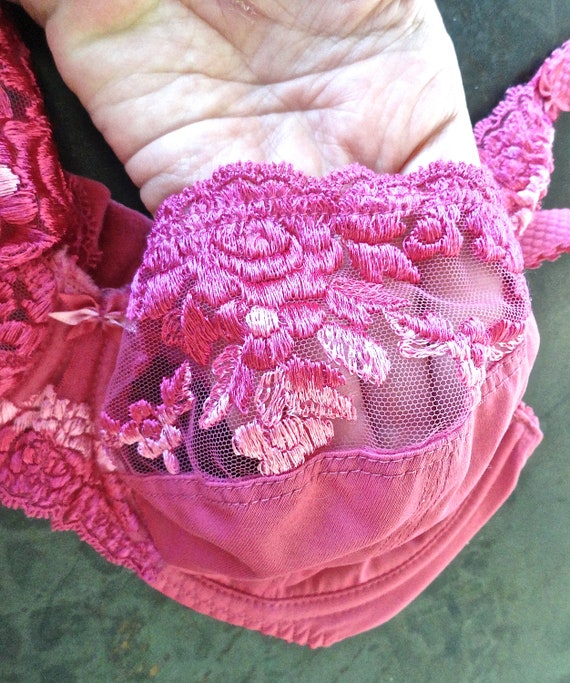90s FANTASIE Raspberry Bra Panty Set Lace applique me… - Gem