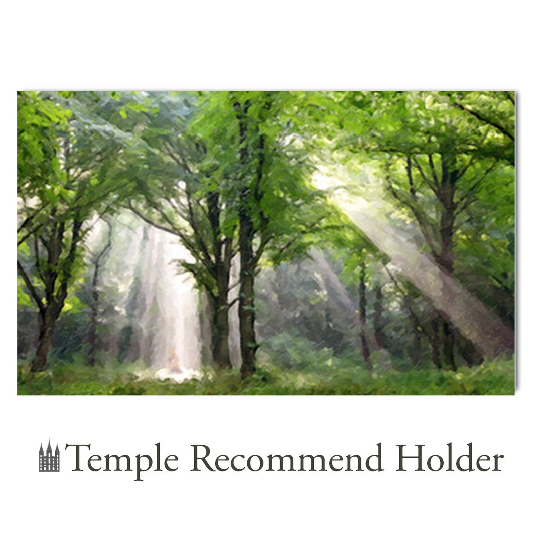 FREE SHIPPING Over 35- Temple Recommend Holder - Light Descending ...