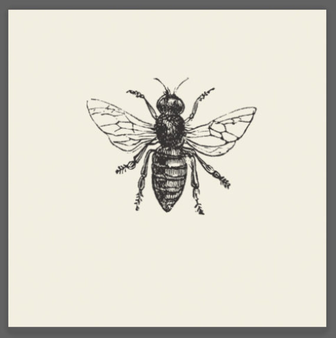 Digital Download French Bee | Etsy