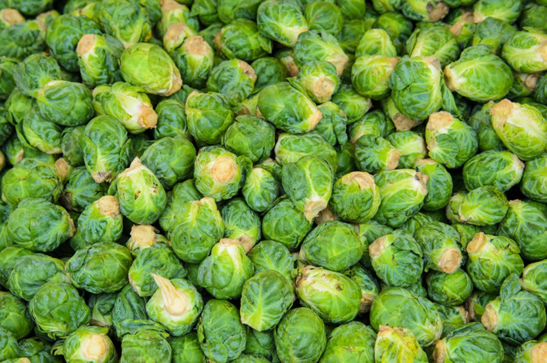 Food Photography - Brussels Sprouts - Farmers Market - San Francisco ...