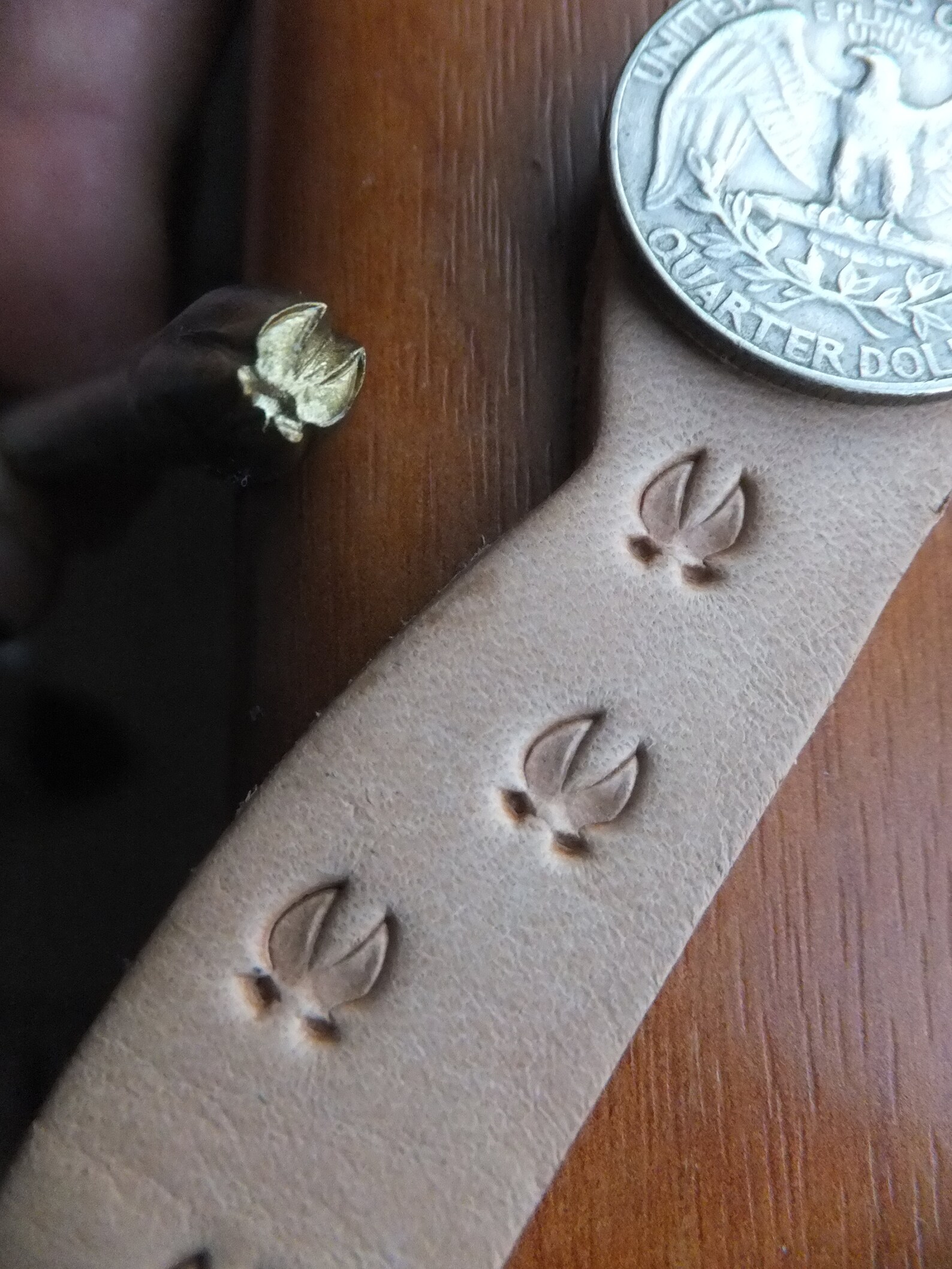 011-14 MINI 3D White Tail Deer Track Leather Stamp 6 X 5 Mm Brass Work ...