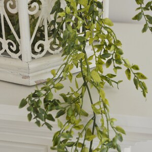 Plastic Greenery Stem , Greenery, Greenery Stems, Floral Greenery ...