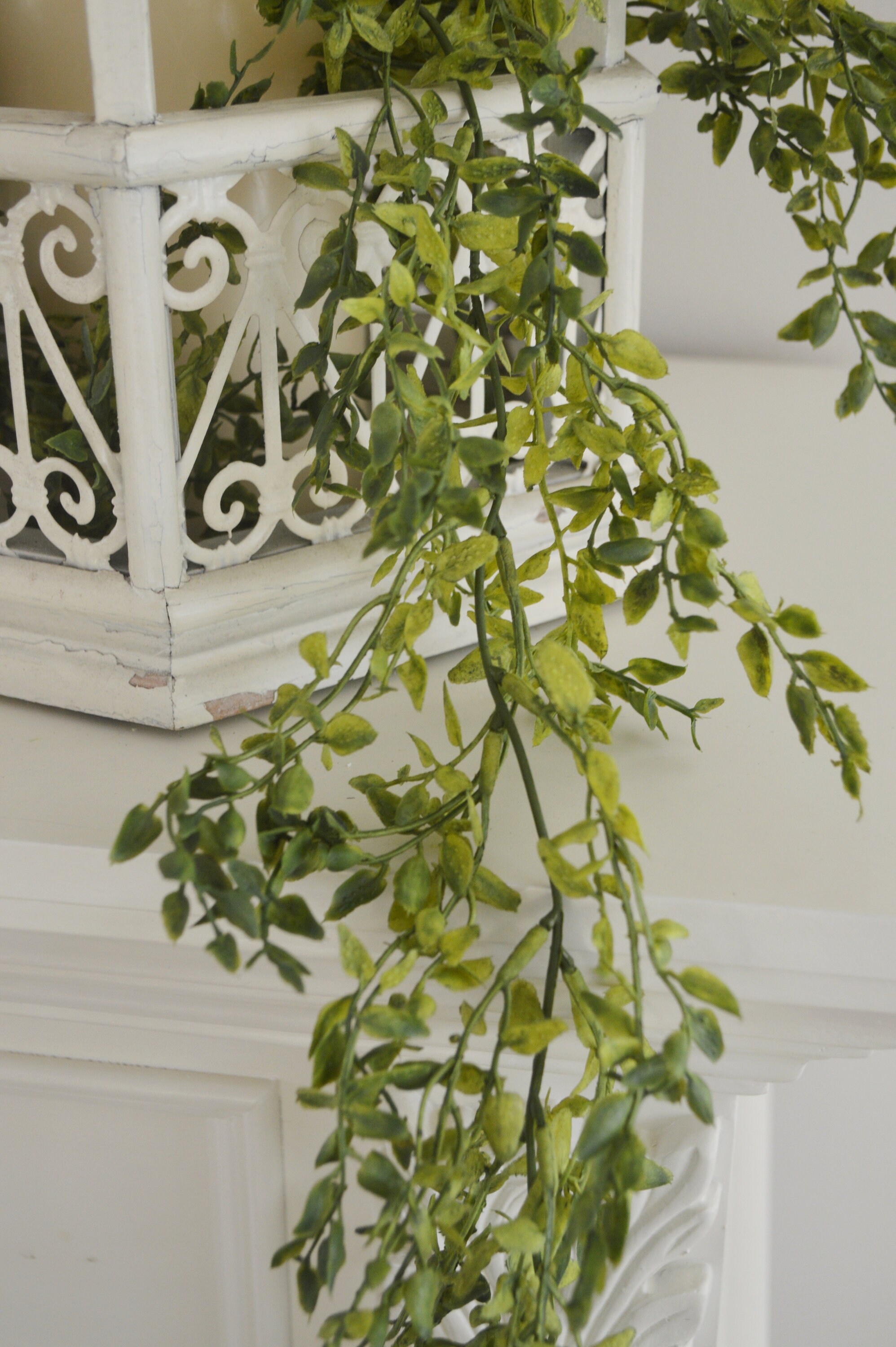 Plastic Greenery Stem Greenery Greenery Stems Floral - Etsy