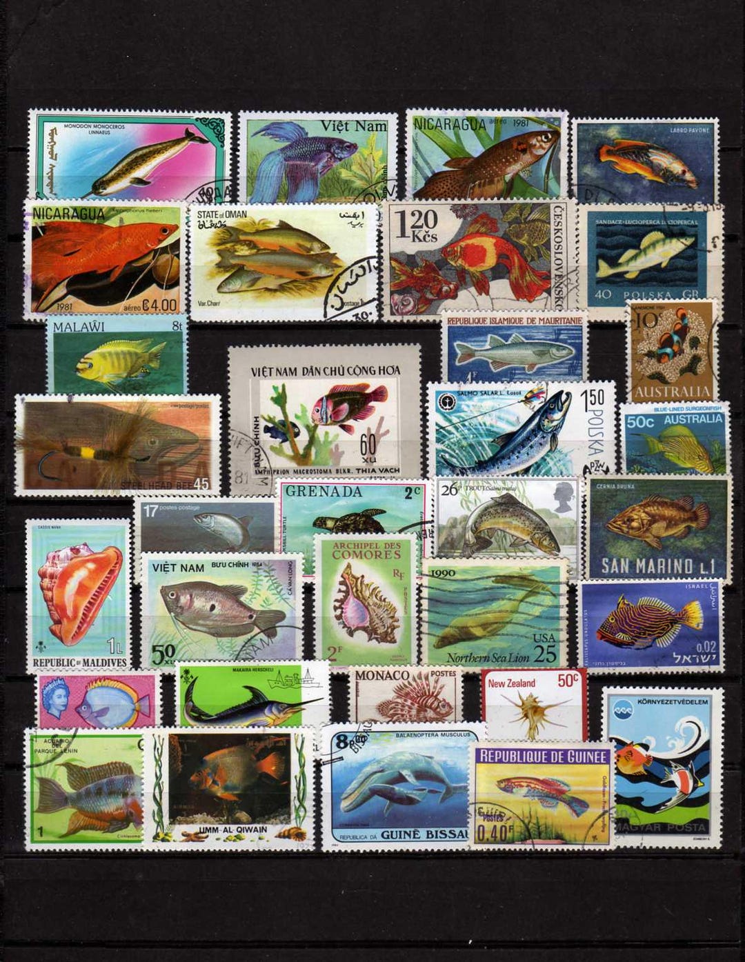 Fish Stamps,50 Diff, Fish Postage Stamps, Seashell Stamps, Ocean ...