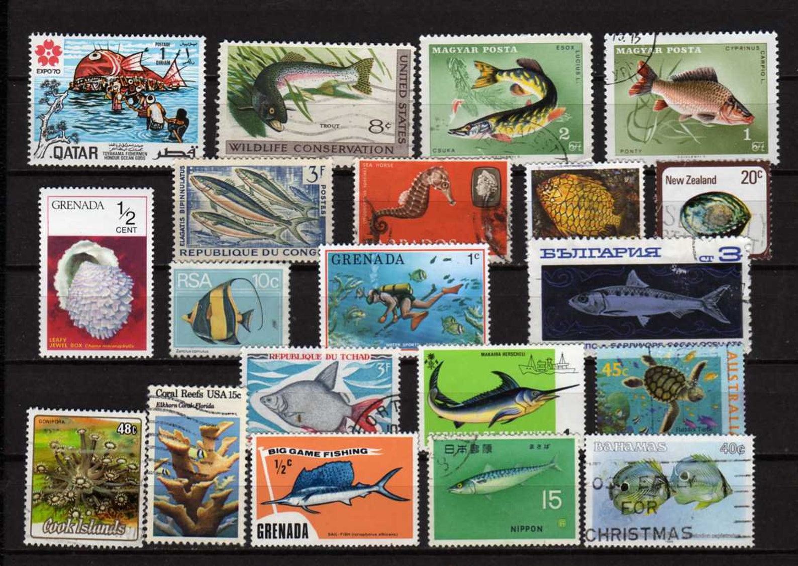 Fish Stamps50 Diff Fish Postage Stamps Seashell Stamps - Etsy