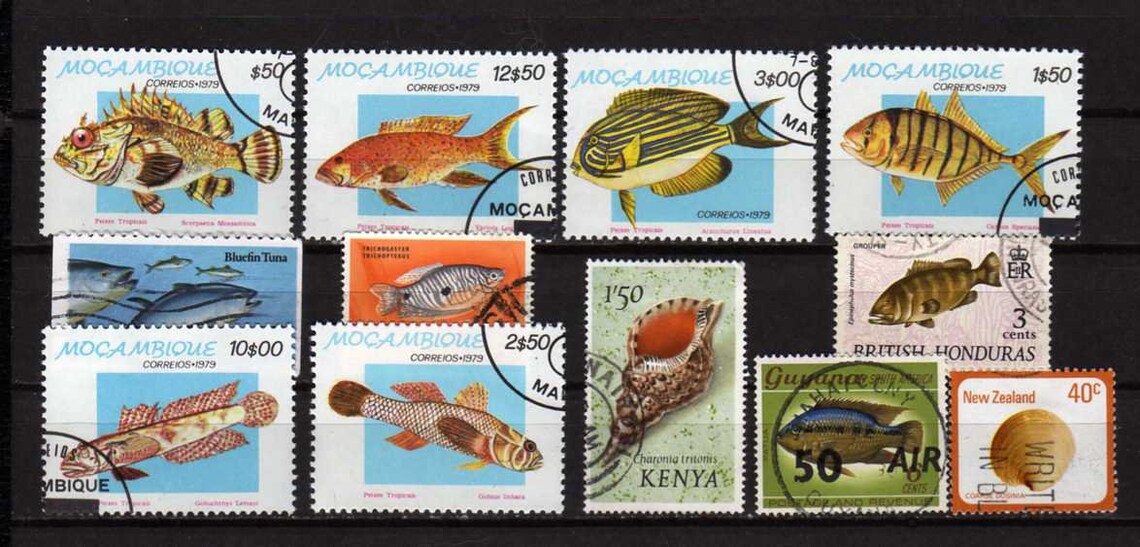 Fish Stamps50 Diff Fish Postage Stamps Seashell Stamps - Etsy