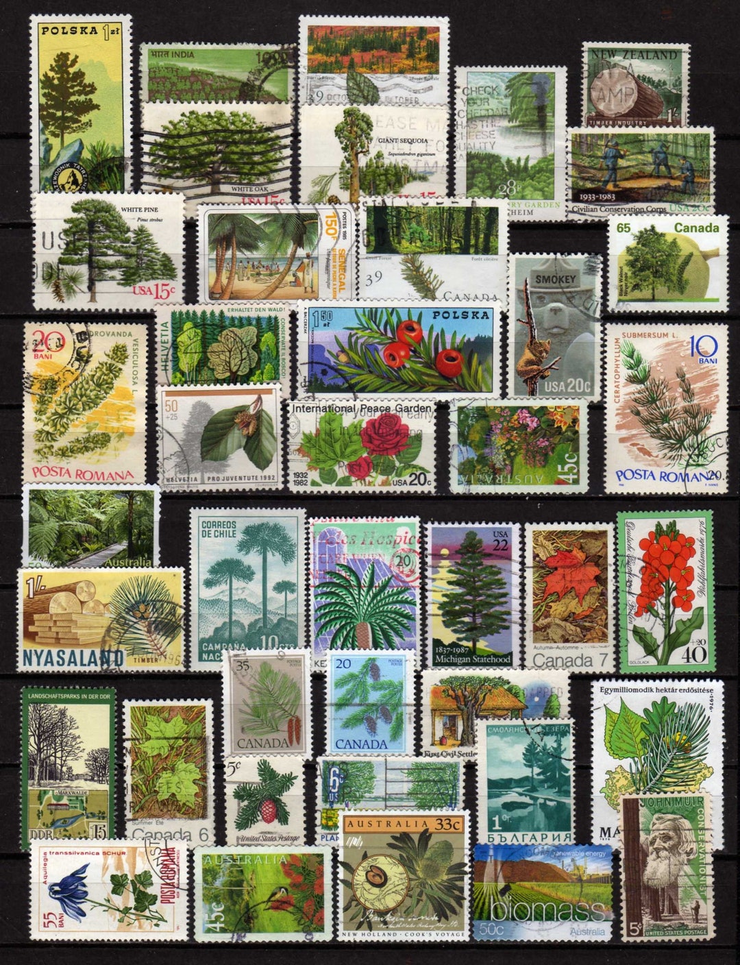 Tree Stamps,trees, Botany Stamps, Postage Stamps, Green Stamps, Nature ...
