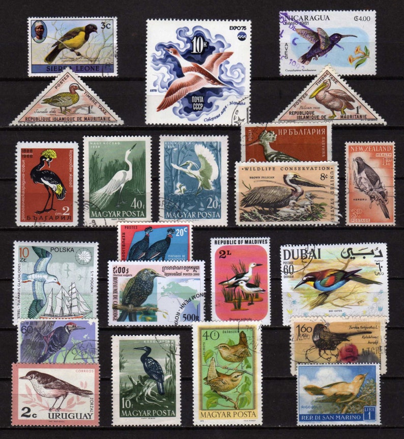 BIRD Stamps 50 Diff Bird Postage Stamps Birds on Stamps - Etsy