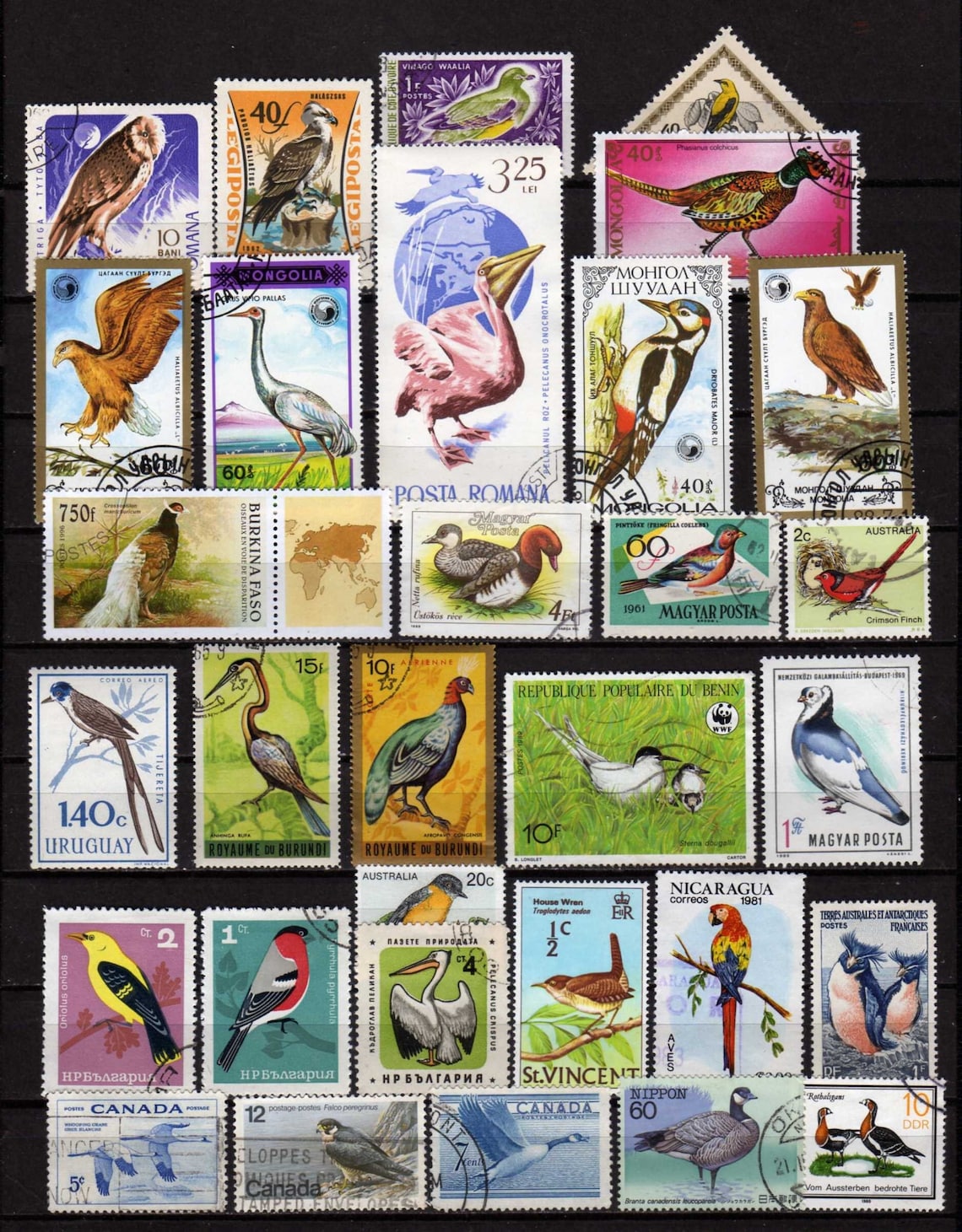 BIRD Stamps 50 Diff Bird Postage Stamps Birds on Stamps - Etsy