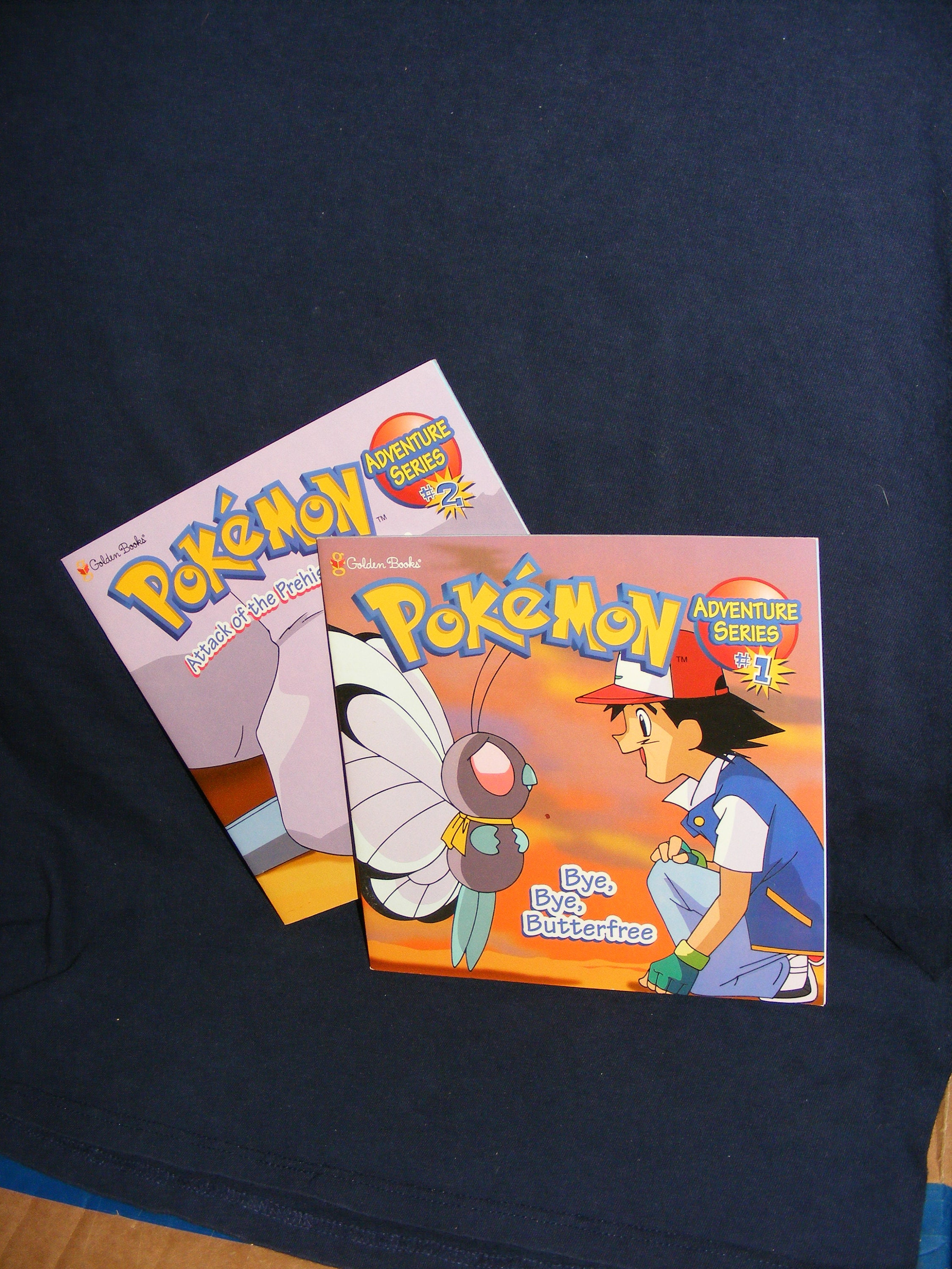 Pokemon Books Lot