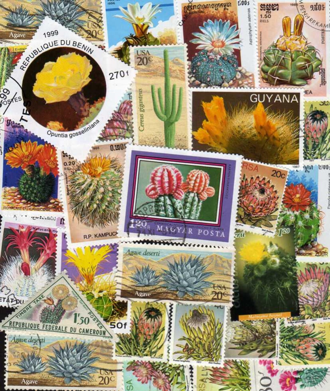 Cactus Stamps, 30, Cactus Postage, Stamps, Postage Stamps,tree Stamps ...