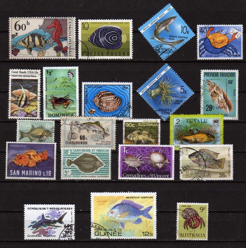 Fish Stamps50 Diff Fish Postage Stamps Seashell Stamps - Etsy
