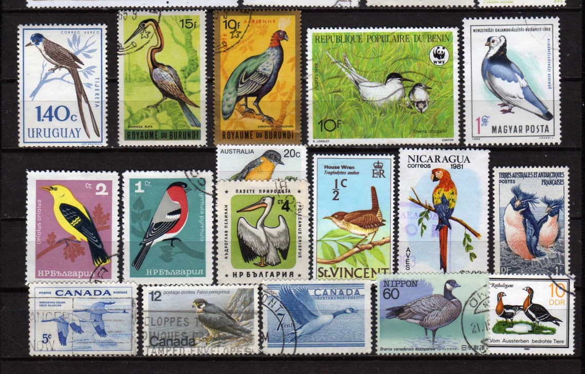 BIRD Stamps 50 Diff Bird Postage Stamps Birds on Stamps - Etsy