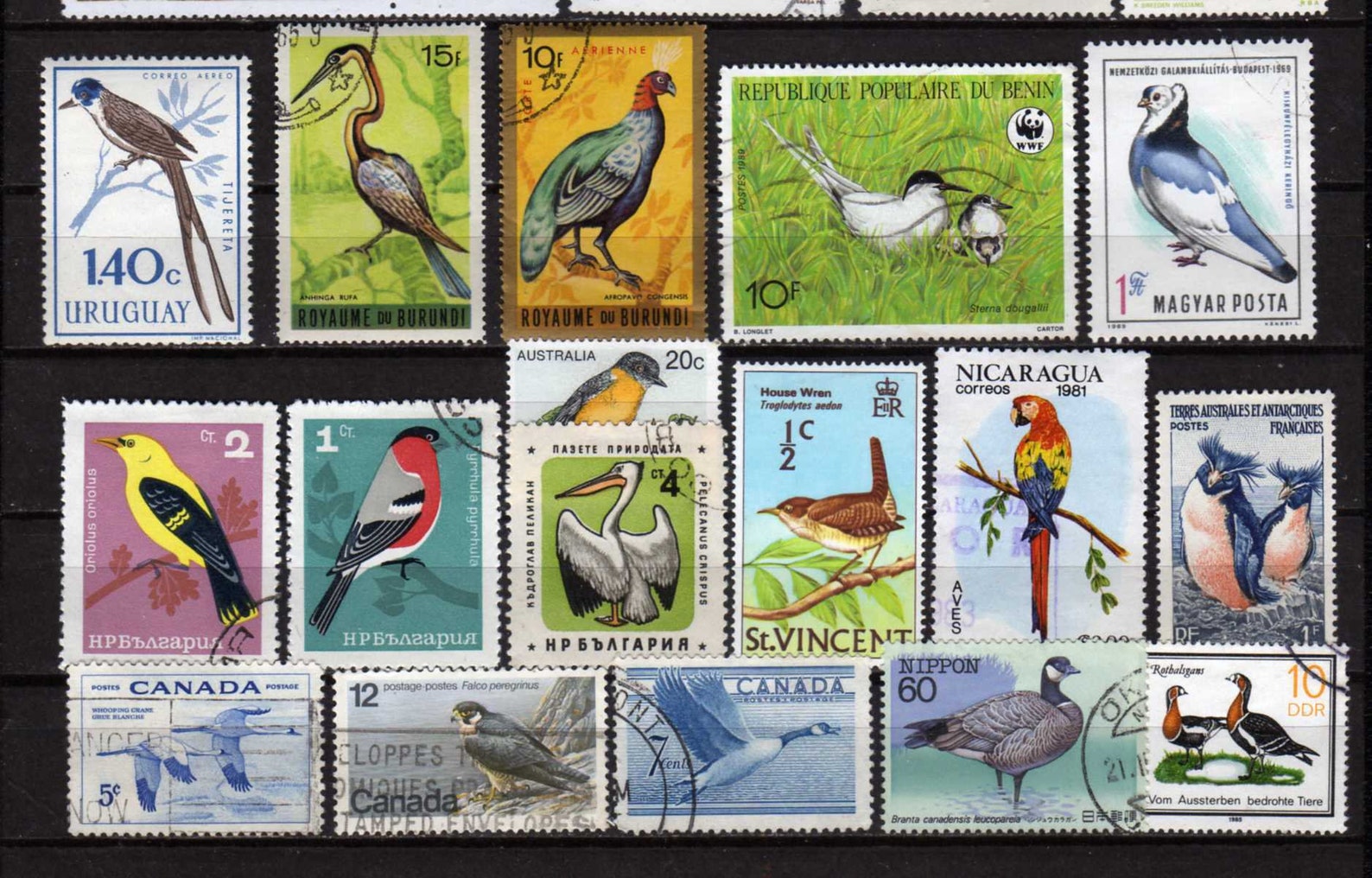 BIRD Stamps 50 Diff Bird Postage Stamps Birds on Stamps - Etsy