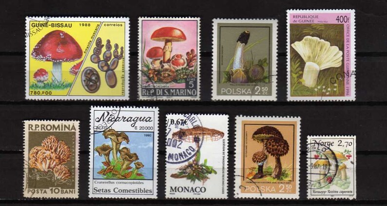 Lot Mushrooms Stamps Postage Stamps Stamps Mushrooms | Etsy