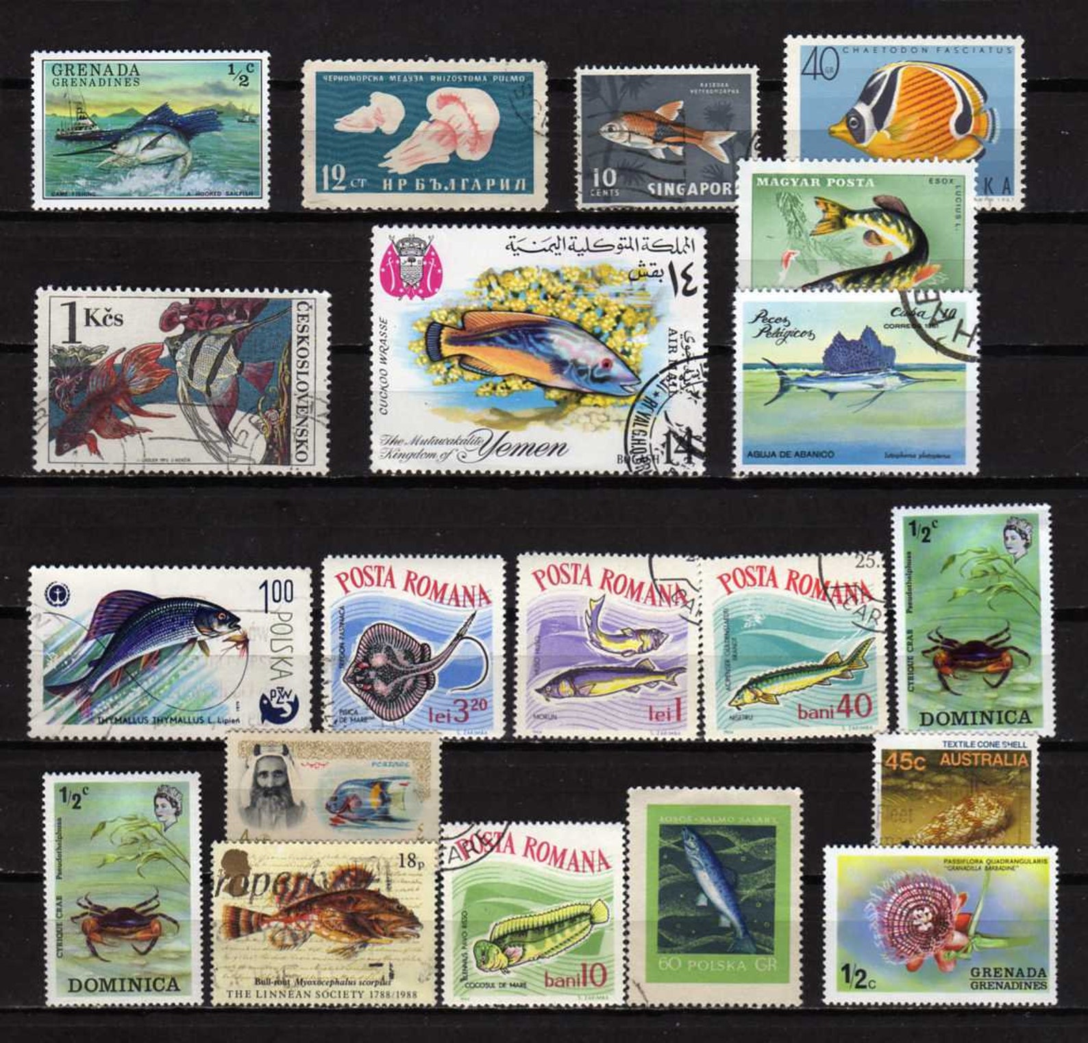 Fish Stamps50 Diff Fish Postage Stamps Seashell Stamps | Etsy